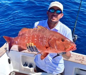 red-snapper-costa-rica-fishing