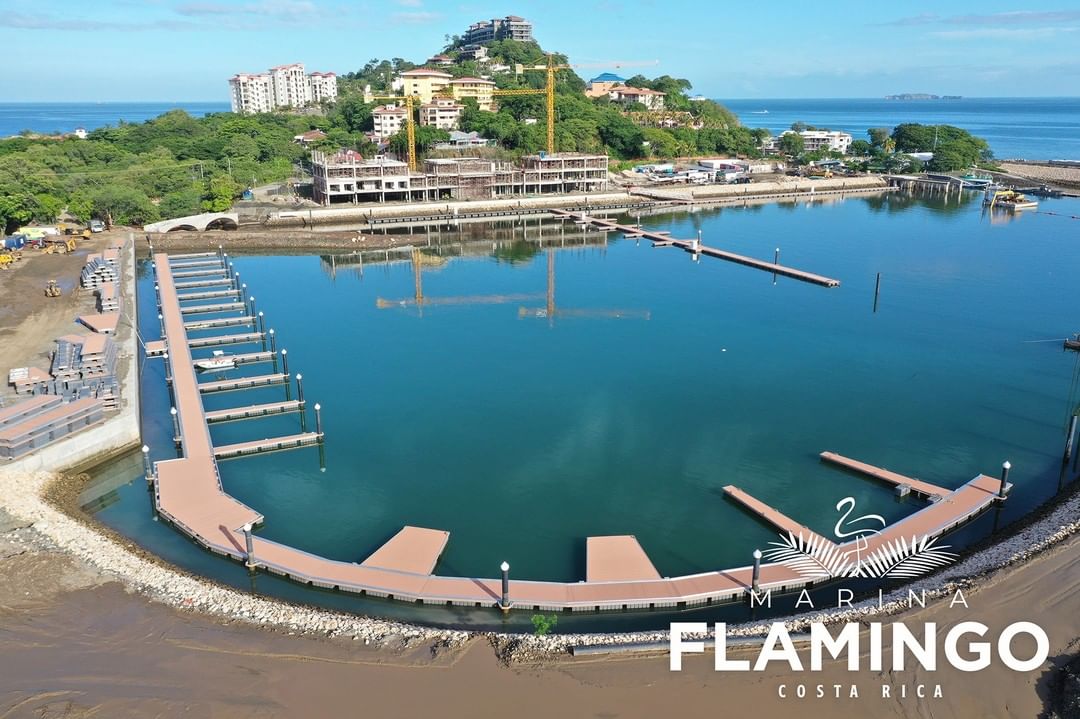 Flamingo Marina
