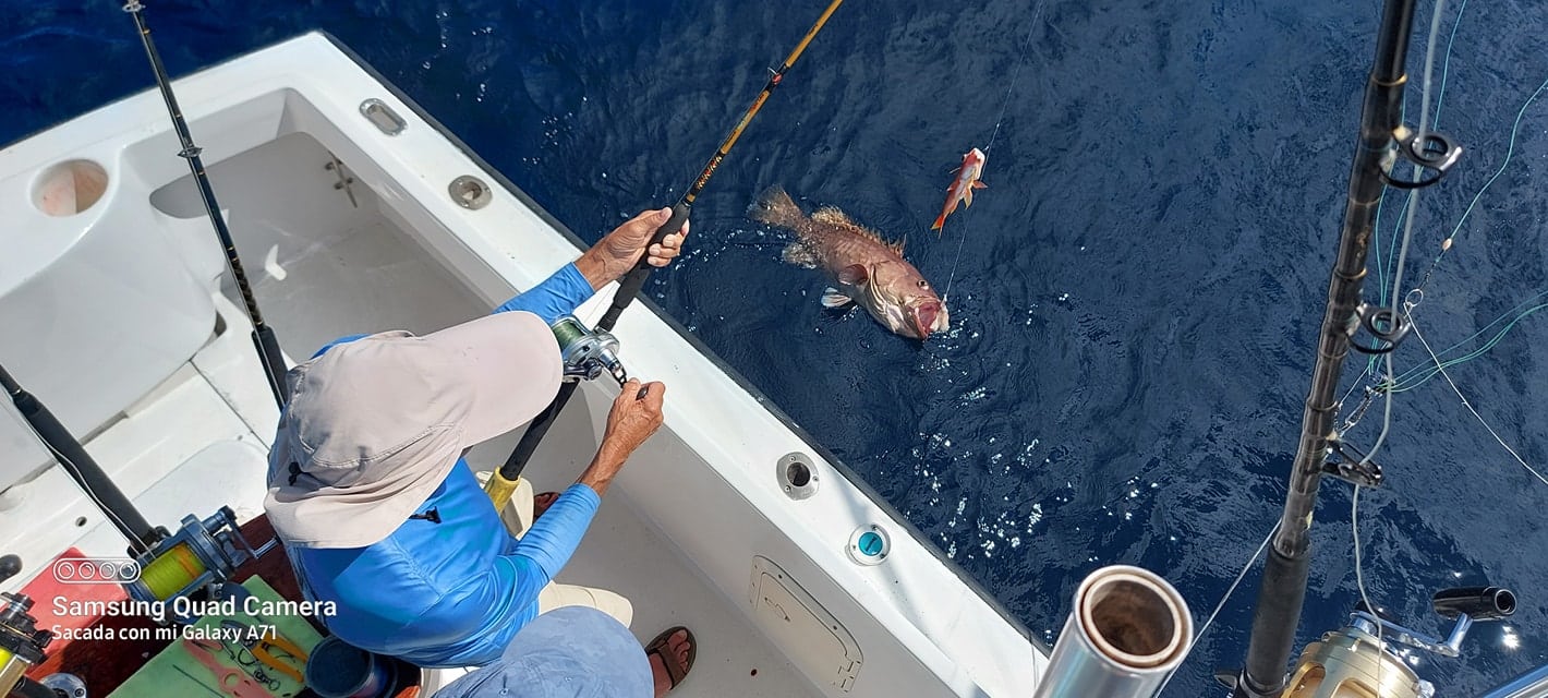 28 ft. Shamrock Express, Predator, 4 anglers max, Los Suenos by CR ...