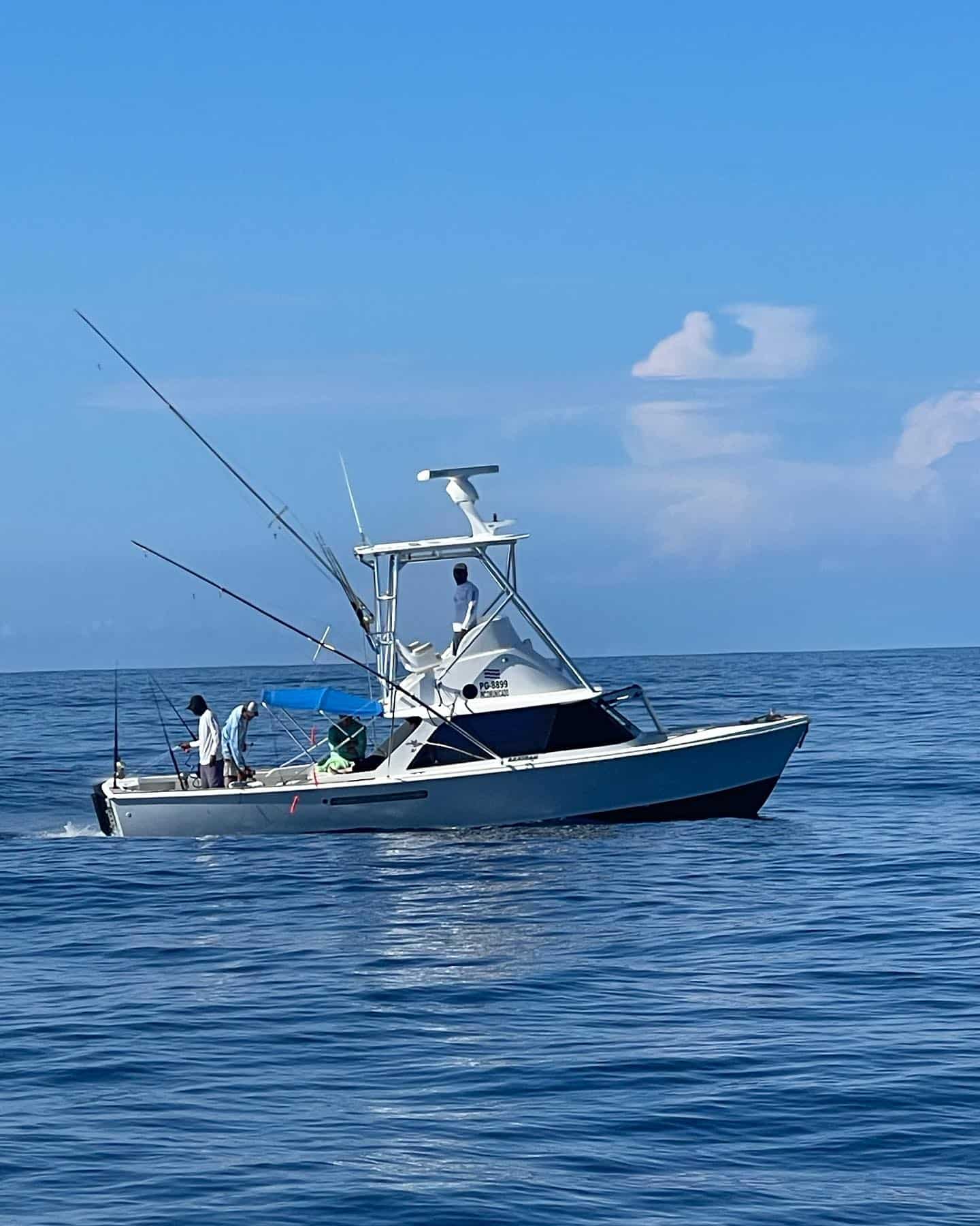 31 ft. Bertram, Incomunicado, Samara – Nosara by CR Fishing Charters